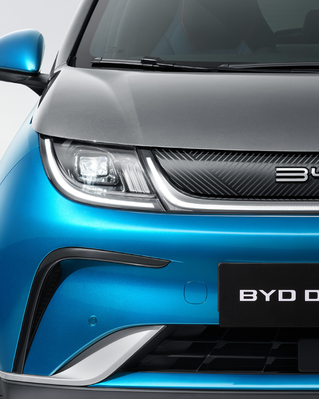 Dolphin – BYD Official in Moldova